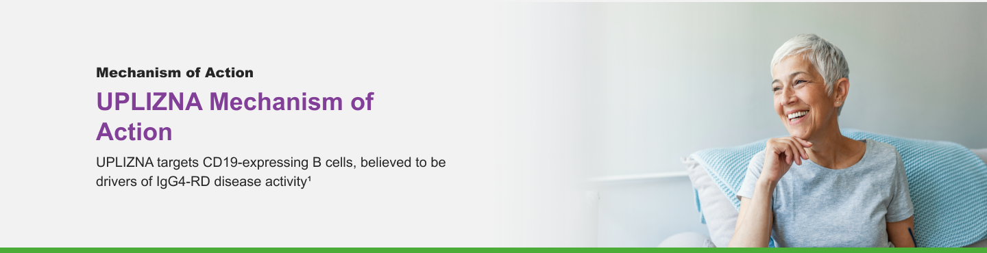 IgG4-RD Mechanism of Action | UPLIZNA® (inebilizumab-cdon) for HCPs